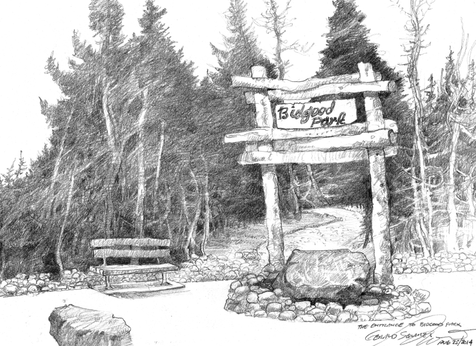 Dedication Plaque | Bidgood Park